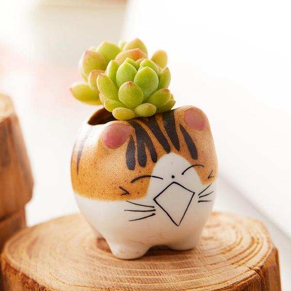 Cat Ceramic Planter Pot Terrarium - GEEKYGET