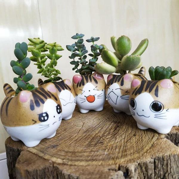 Cat Ceramic Planter Pot Terrarium - GEEKYGET