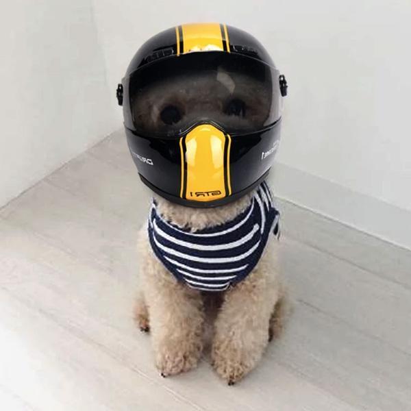 Pet Puppy And Cat Race Car Helmets - GEEKYGET