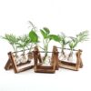Rustic Bulb Planter Terrarium with Wooden Stand - GEEKYGET