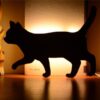 Sound Activated Cat Night Light - GEEKYGET